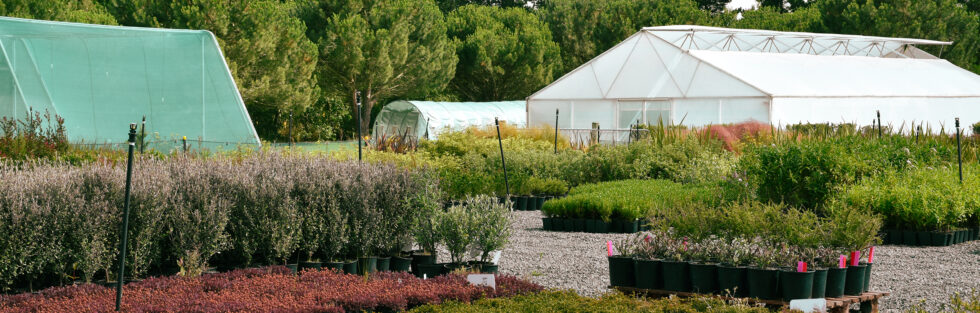 Your Guide to Landscaping in North Canterbury | Silverstream Subdivision